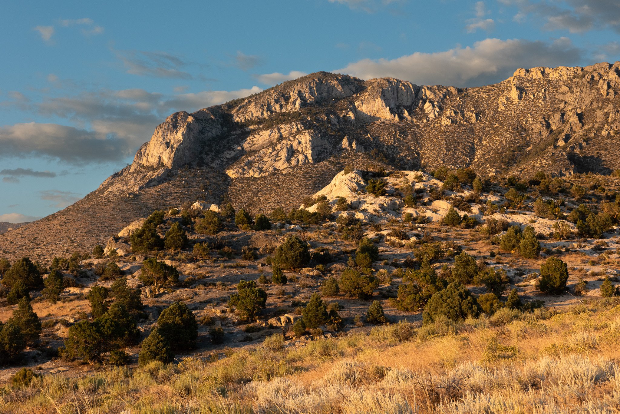 Duck Creek Guided Hike - Welcome To Ely